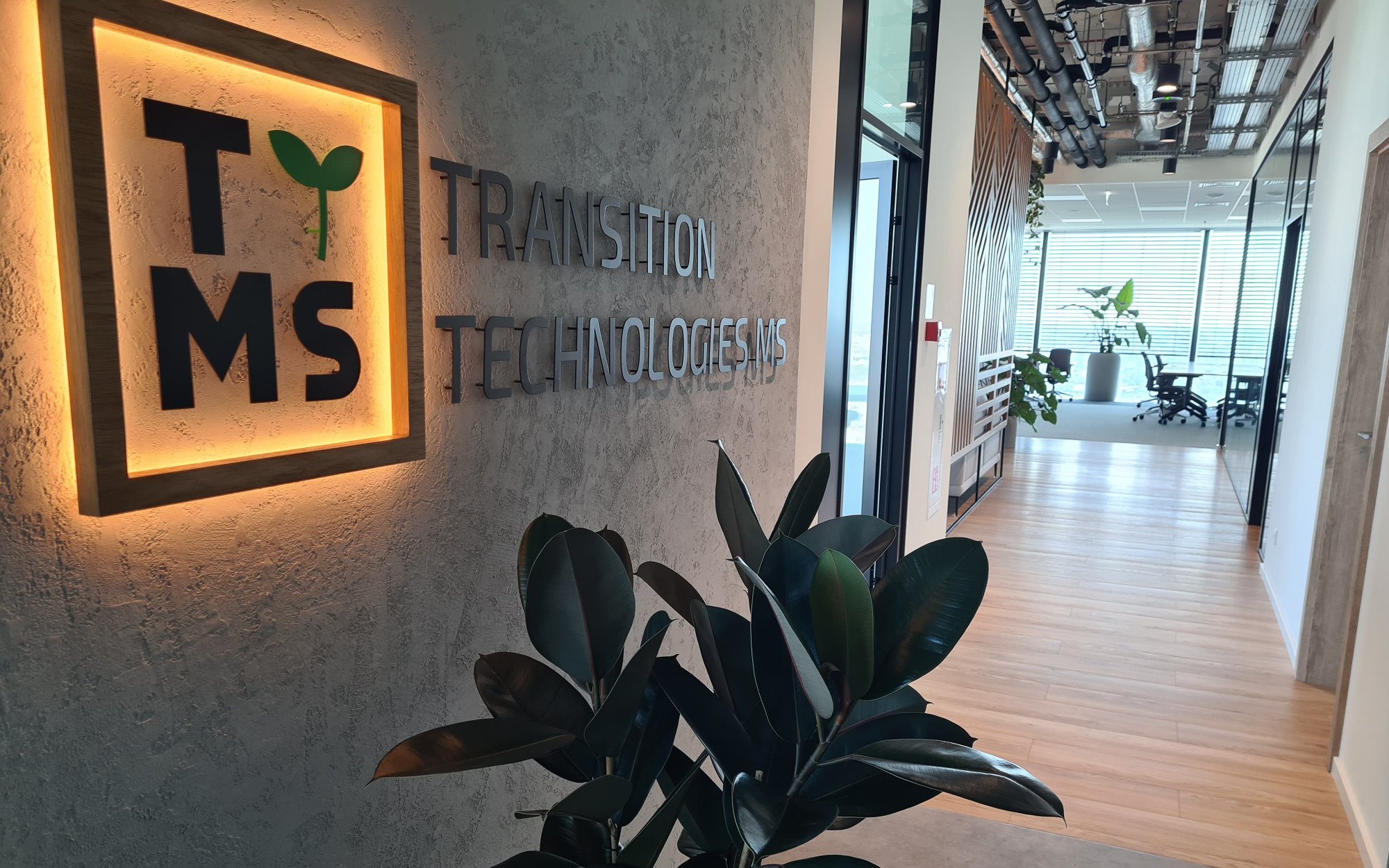 Oferta publiczna TTMS. Co warto o niej wiedzieć? - parkiet.com