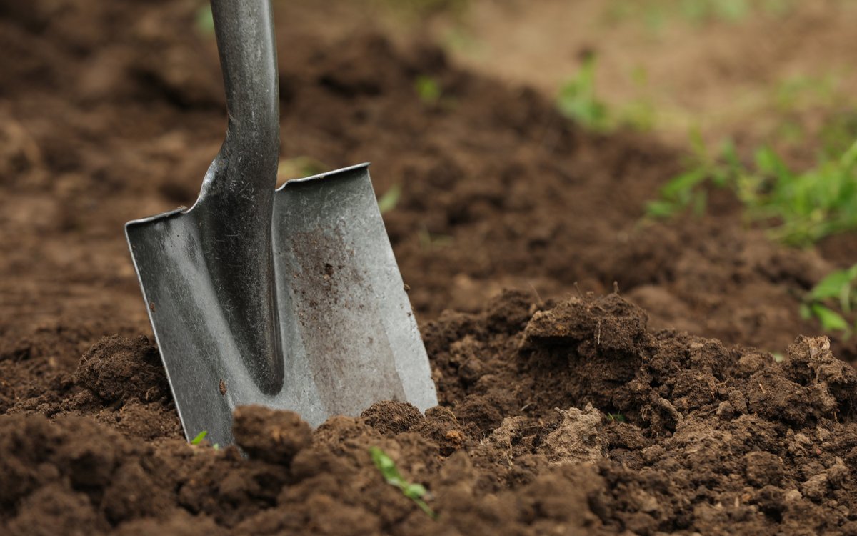 Będą kopali groby na czas. Zaskakujący konkurs - rp.pl