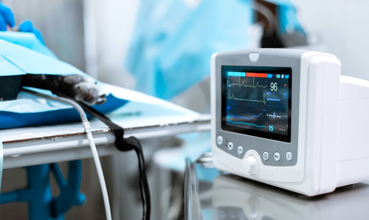 Medicalgorithmics z umową dot. dystrybucji swoich produktów w Izraelu - parkiet.com