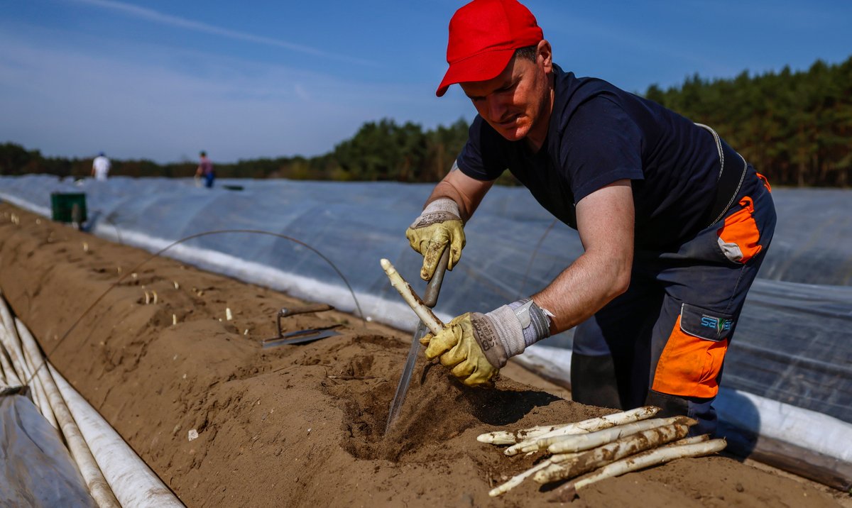 Inflacja znów pcha Polaków na saksy - rp.pl