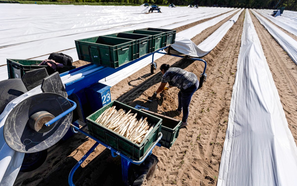 Saksy na Zachodzie nadal opłacalne. Gdzie zarobisz najwięcej - rp.pl
