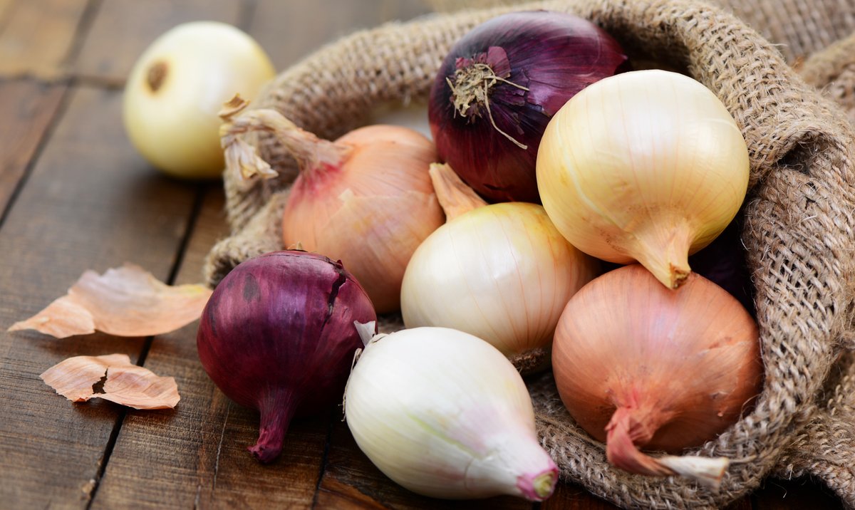 Cebula najdroższa w historii. Płaczą Hiszpanie i Włosi, Polacy ...