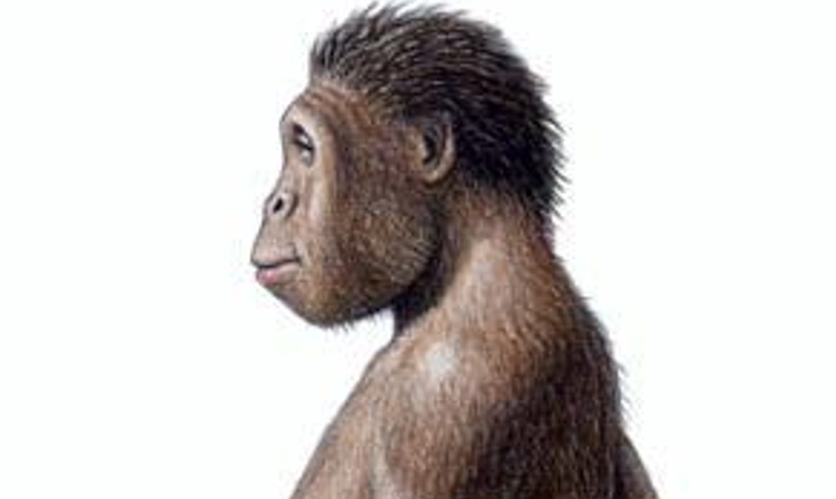 Jaskiniowca poznam - rp.pl