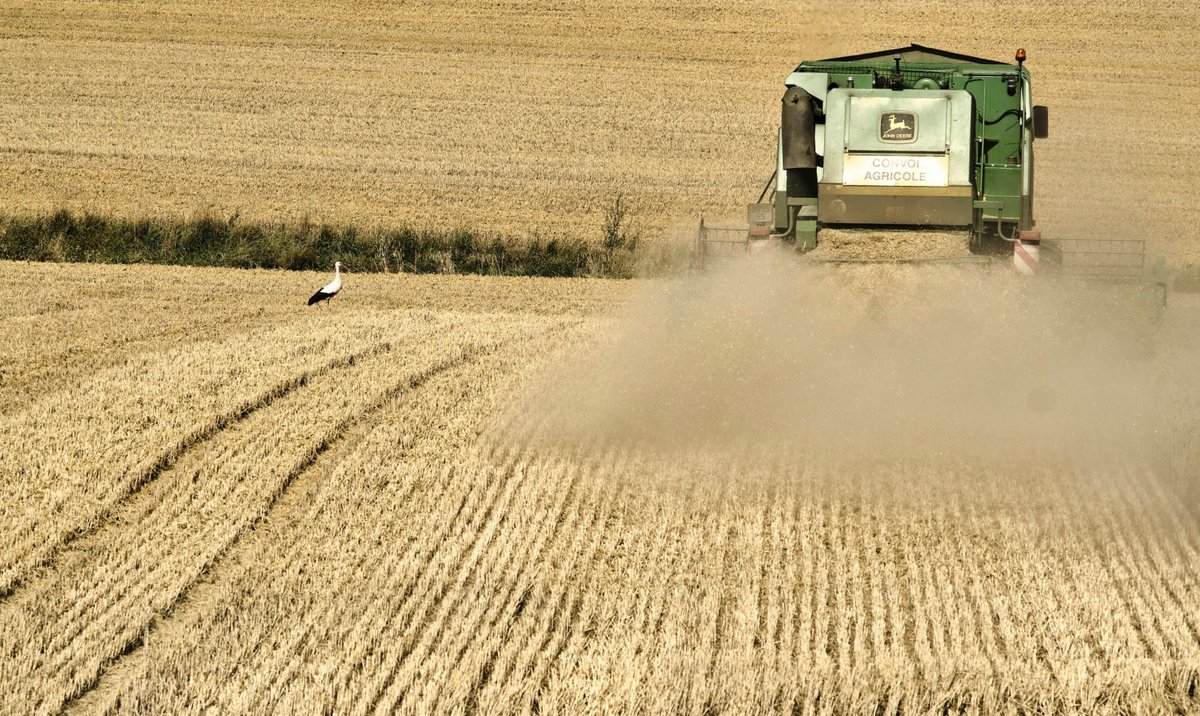 Rolnicy o Funduszu Ochrony Rolnictwa: abolicja dla cwaniaków - rp.pl