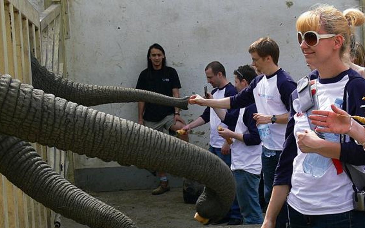 Impreza integracyjna w warszawskim zoo - rp.pl