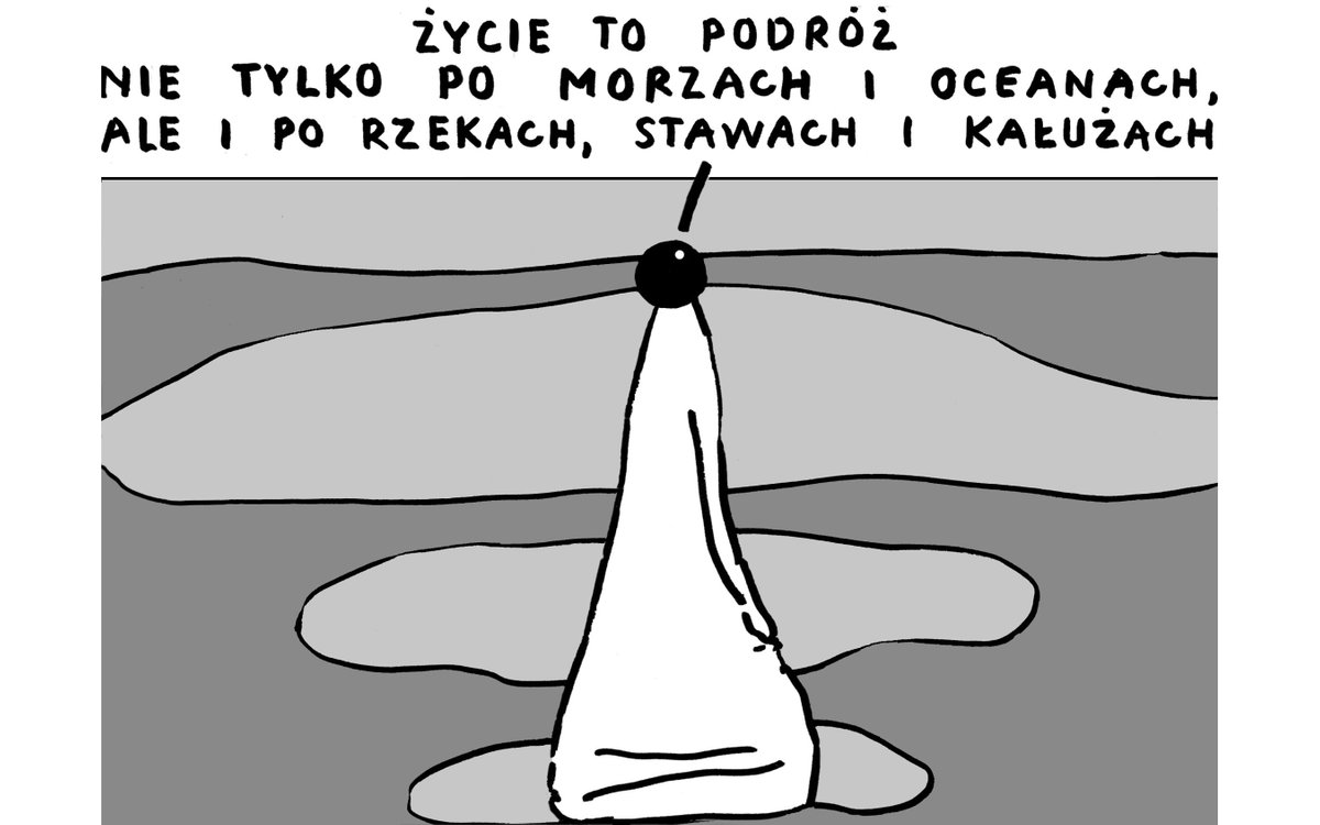 Kataryna: Pijani kierowcy a sprawa polityczna - rp.pl