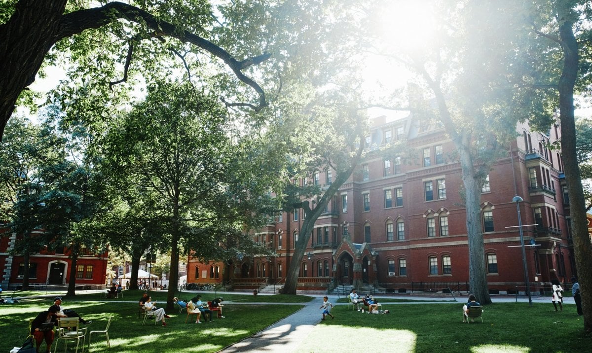 Jak dostać się na Harvard? Najłatwiej przez pośrednika, ale będzie ...