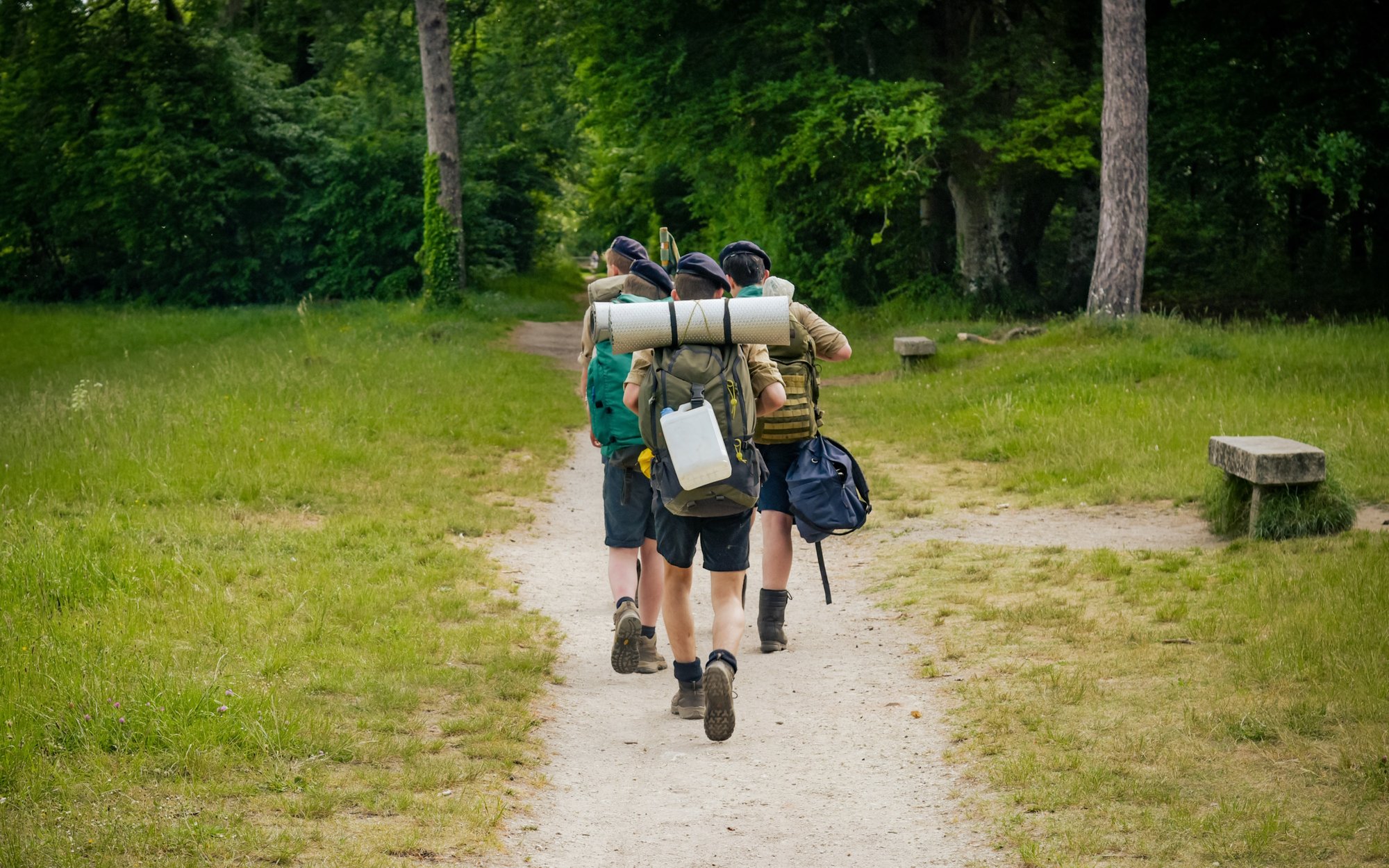 Tomasz P. Terlikowski po śmierci 15-letniego Dominika: Nie potępiajcie harcerstwa - rp.pl