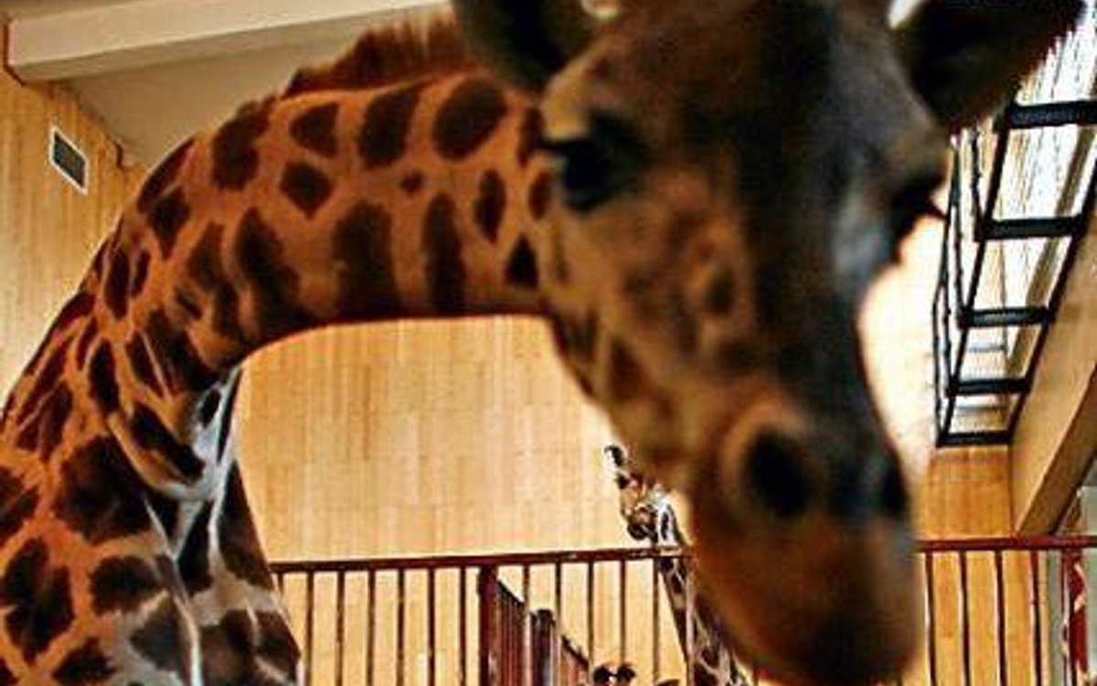 Wszystko o zoo - rp.pl