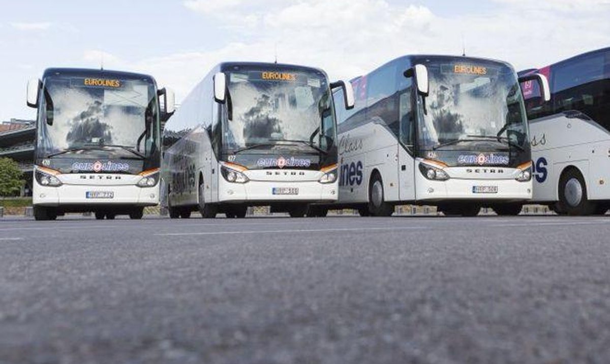 Sindbad z logo Eurolines - rp.pl