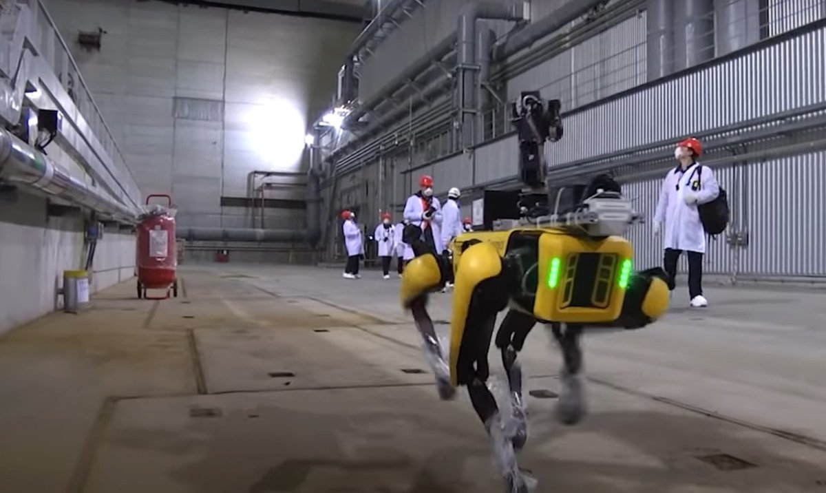Pies-robot rozpoczął pracę w Czarnobylu - rp.pl