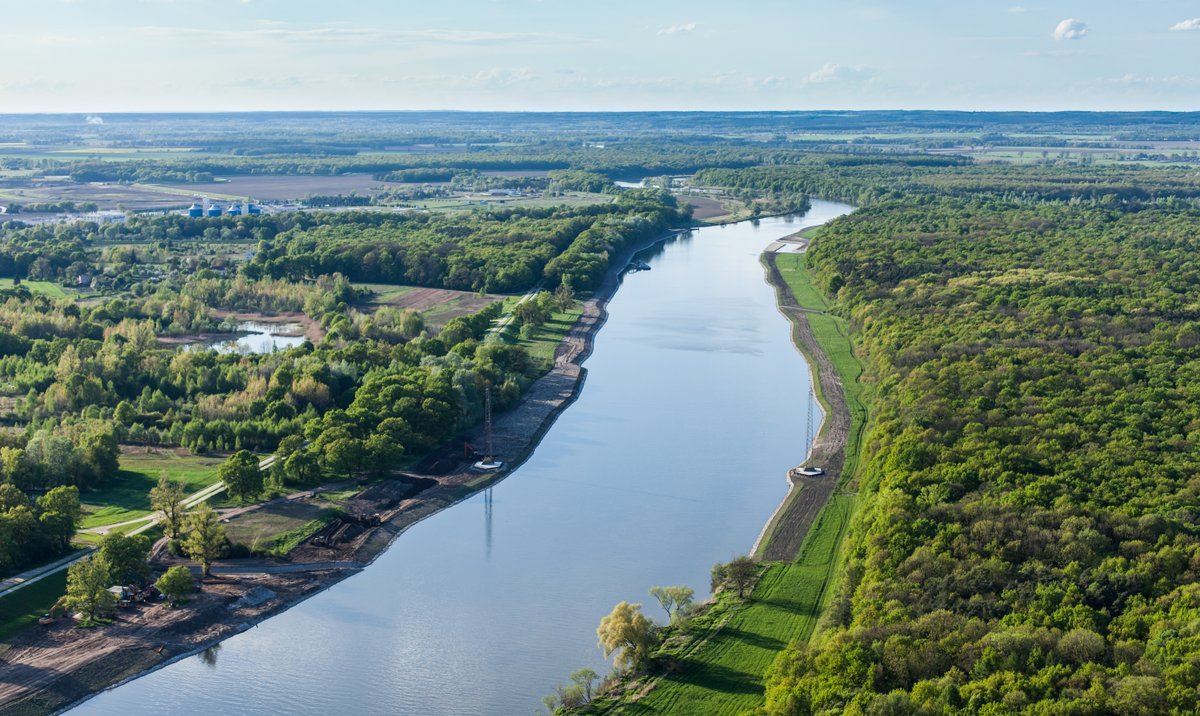 Sztuka dla Odry. Będzie aukcja dzieł na ratowanie rzeki - rp.pl