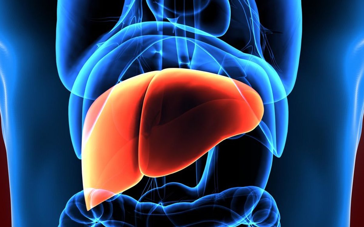 Próby wątrobowe: Co mówią o naszym zdrowiu - rp.pl
