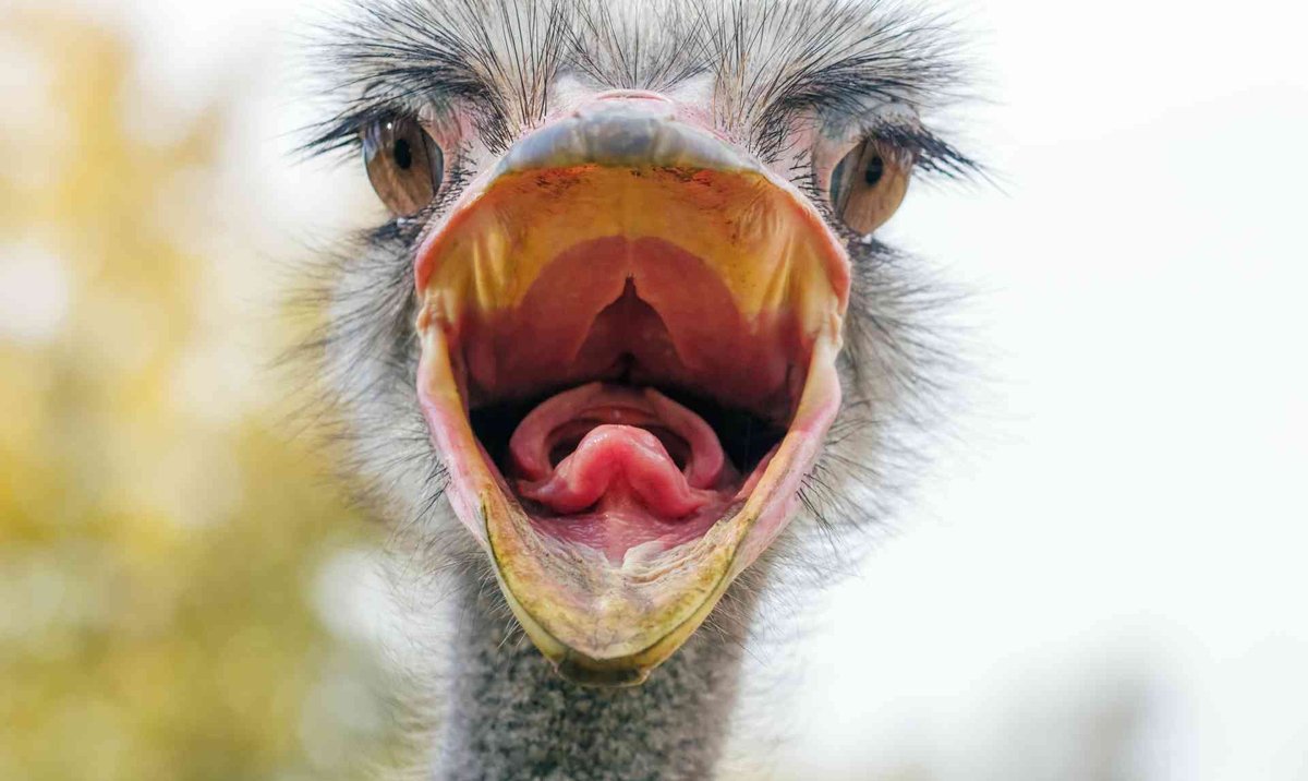 Koronawirus. Nowy sposób wykrywania zakażenia - maska z przeciwciałami ...