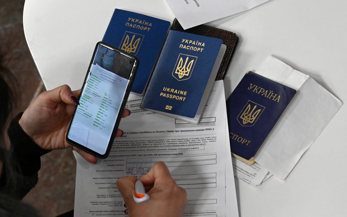 RPO: Są luki w specustawie. Chodzi m.in. o 40 zł dla gościa z Ukrainy ...