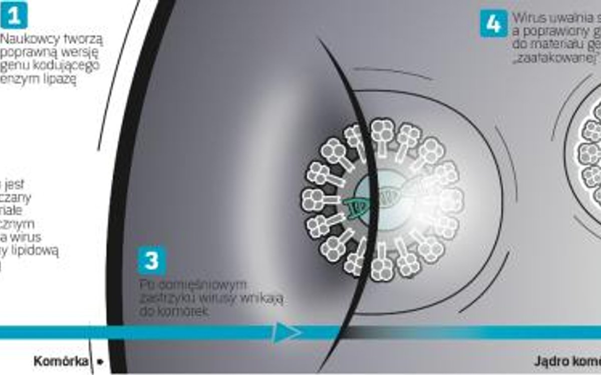 Rekordowo drogi lek nosi nazwę Glybera - rp.pl