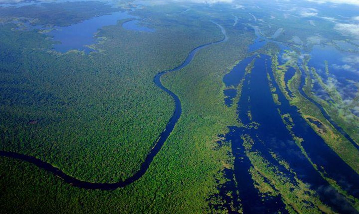 Satelita wskazał źródła Amazonki - rp.pl