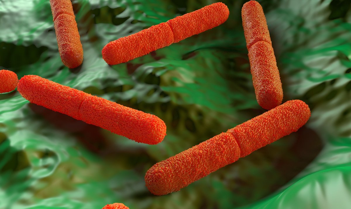 Clostridium difficile: jest pierwszy lek z bakterii kałowych od dawcy ...