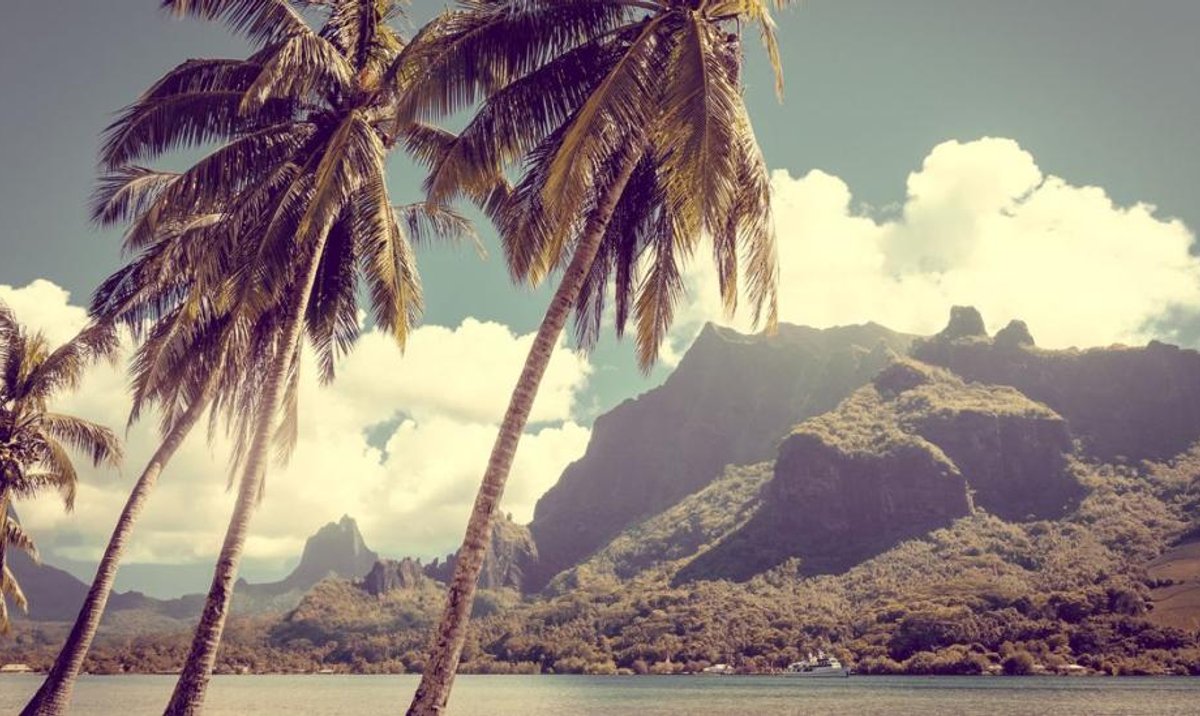 Wyspy Cooka utworzyły gigantyczny rezerwat morski - rp.pl