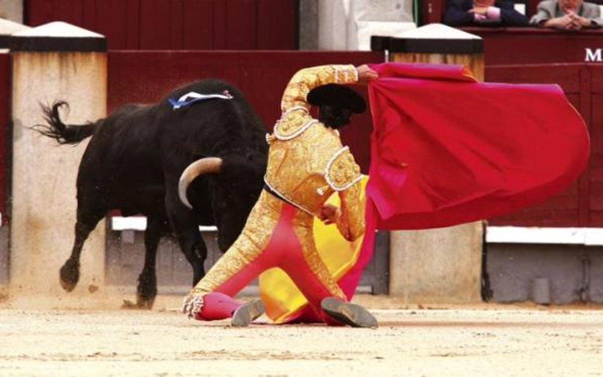 Korrida nieomiertelna - rp.pl