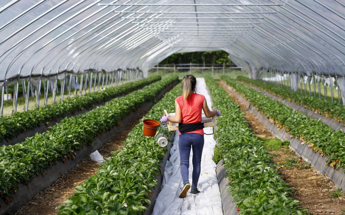 Wakaty na Zachodzie skuszą Polaków na saksy? - rp.pl