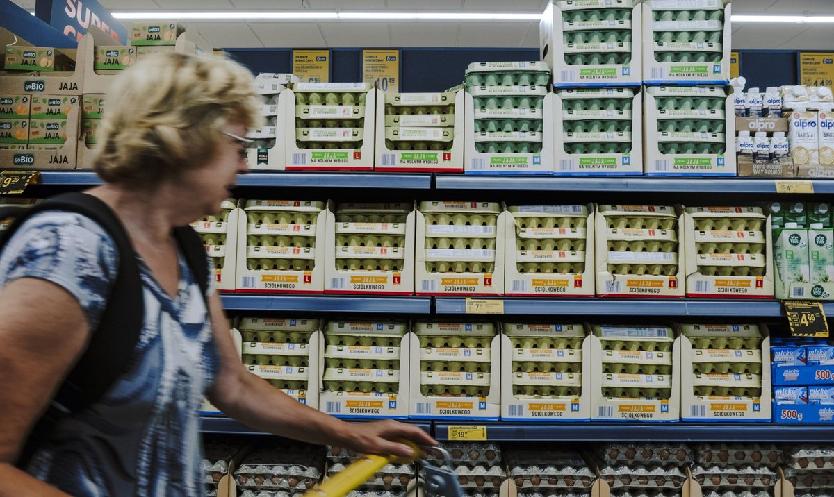 Wojna cenowa Biedronki z Lidlem uderza w producentów. Jaja sprzedawane ... Wojna cenowa Biedronki z Lidlem uderza w producentów. Jaja sprzedawane ...