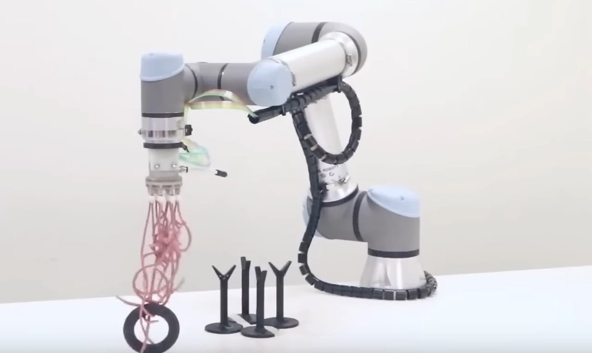 Najdelikatniejszy robot na świecie. Wciąż szukają nazwy - rp.pl