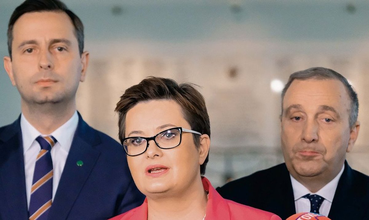 Katarzyna Lubnauer: Dla Nowoczesnej to nie pierwsza wiosna - rp.pl