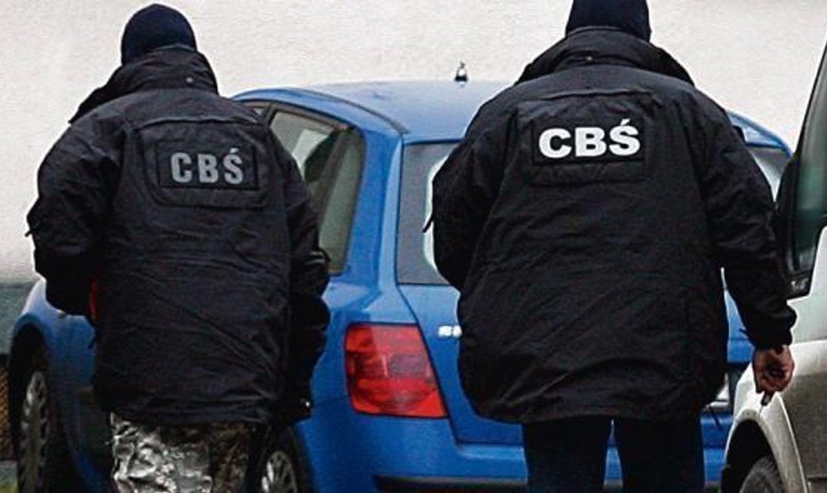 CBŚP powinno ścigać grube ryby - rp.pl