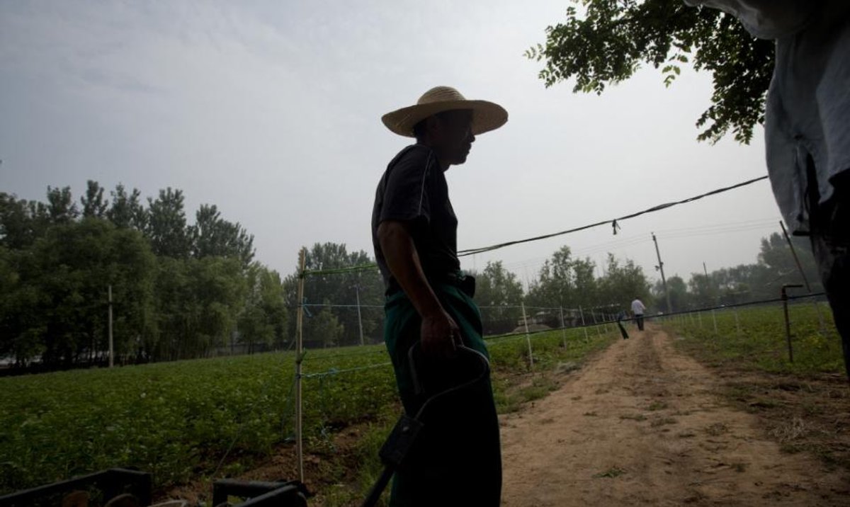 Chiny: ziemia zbyt skażona dla rolnictwa - rp.pl