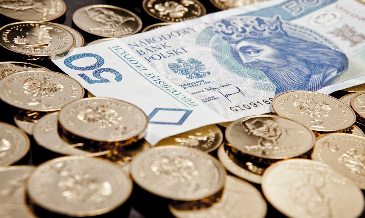 Polska waluta z zadyszką - rp.pl