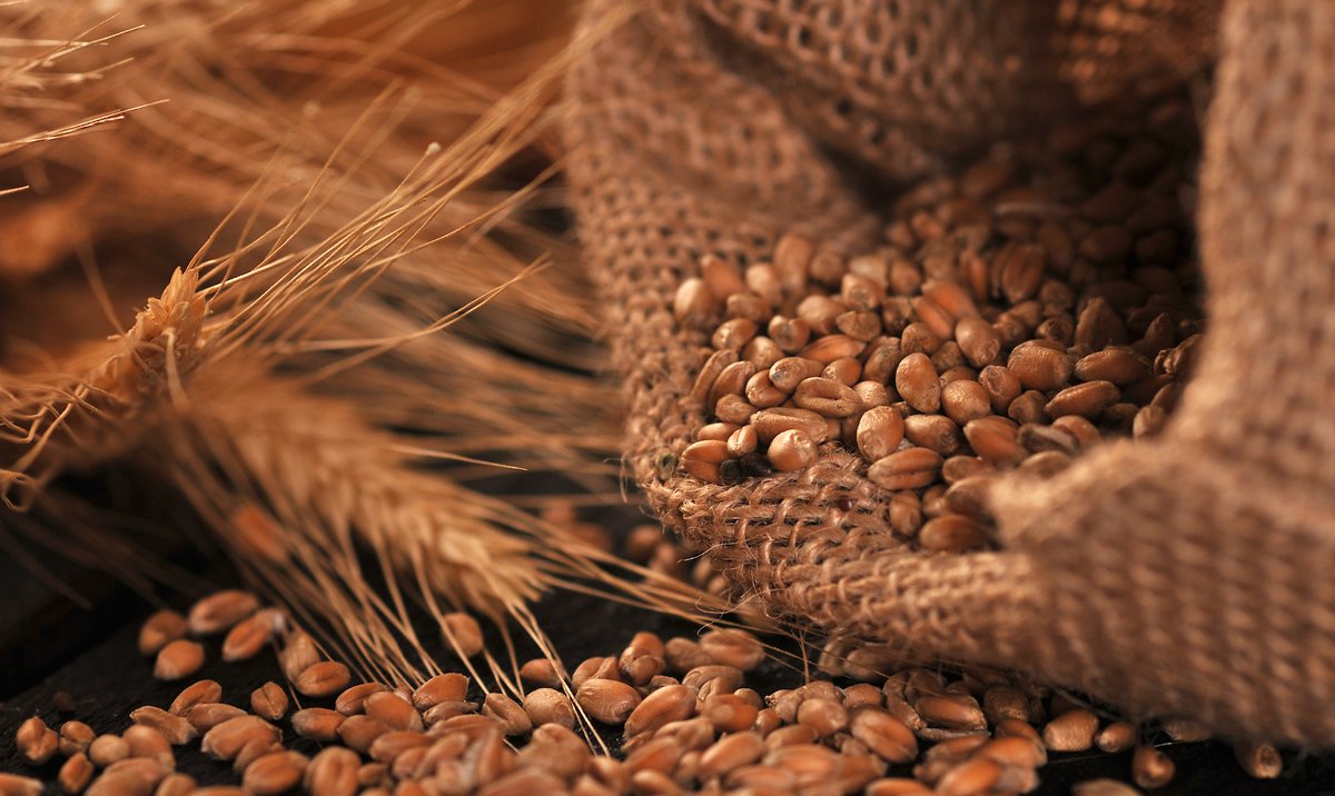 Jest zakaz przewozu z Ukrainy produktów rolnych - rp.pl