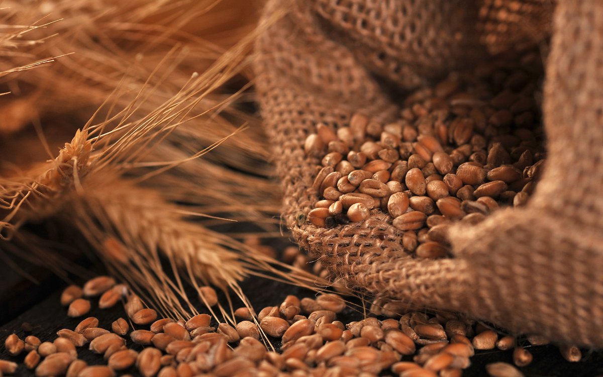 Jest zakaz przewozu z Ukrainy produktów rolnych - rp.pl