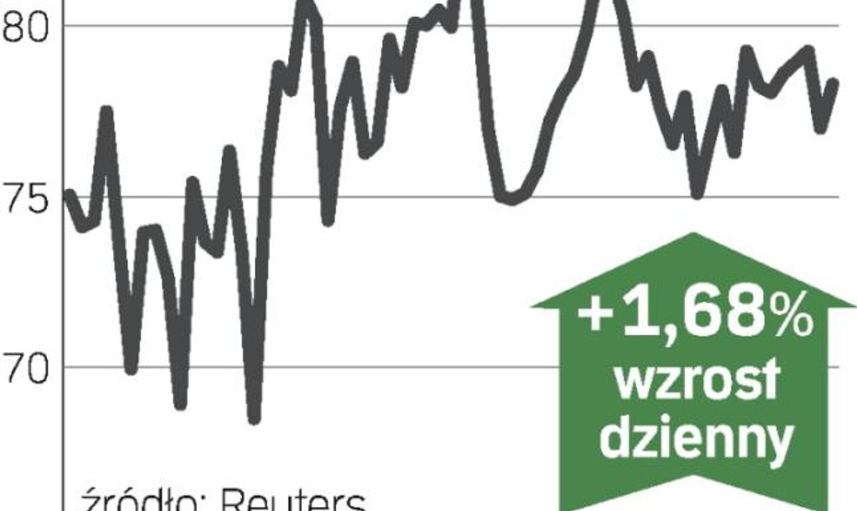 Rekordowy zysk, akcje zyskują - rp.pl