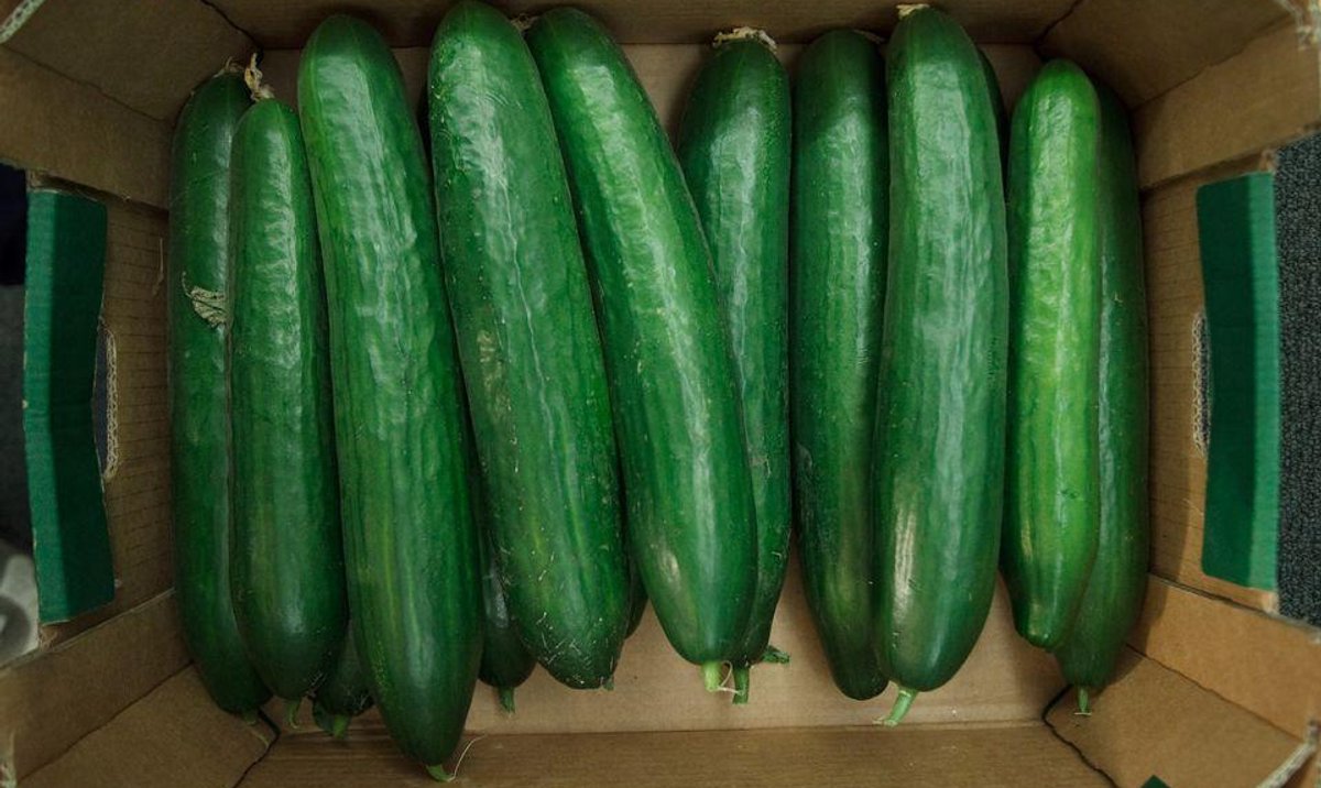 Wolisz ogurek czy ogórka? - rp.pl