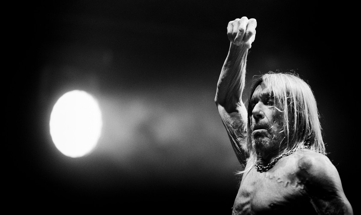 „Every Loser”, nowy album Iggy Popa. Równowaga rockowego derwisza - rp.pl