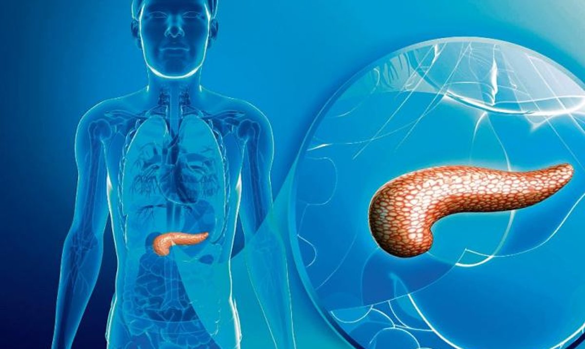 Jak mówią komórki trzustki? - rp.pl