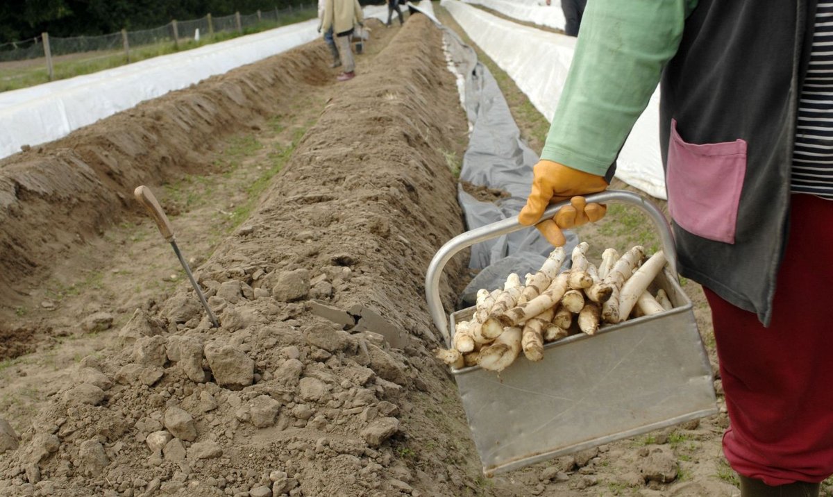 Pandemia i wyższe płace uderzyły w saksy - rp.pl