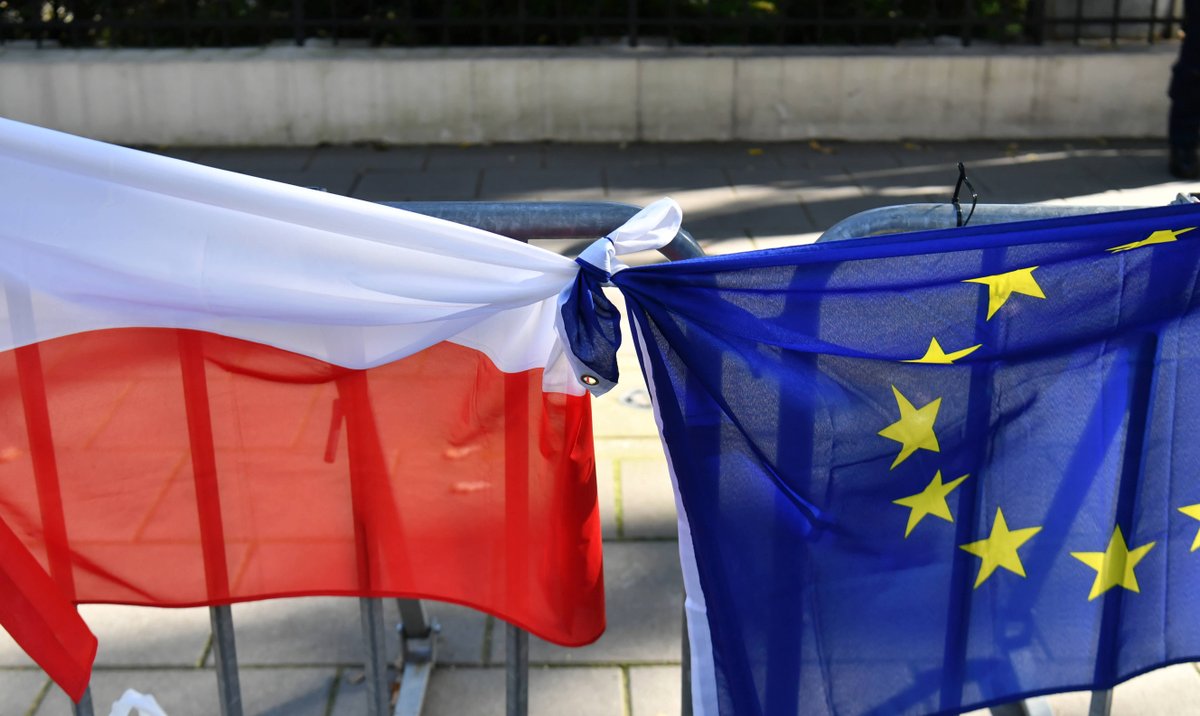 20 lat w Unii Europejskiej i co dalej: integracja, unia w unii czy ...