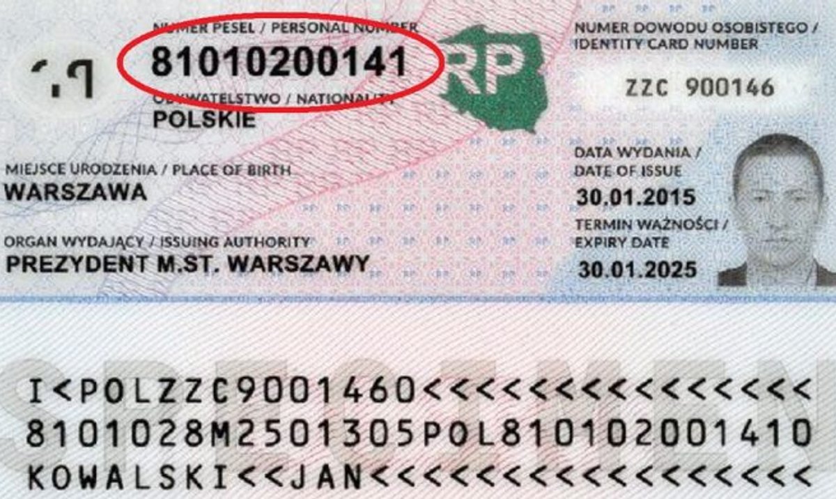 Spis powszechny: dlaczego mamy podawać PESEL przy samospisie i czy jest to bezpieczne? - rp.pl