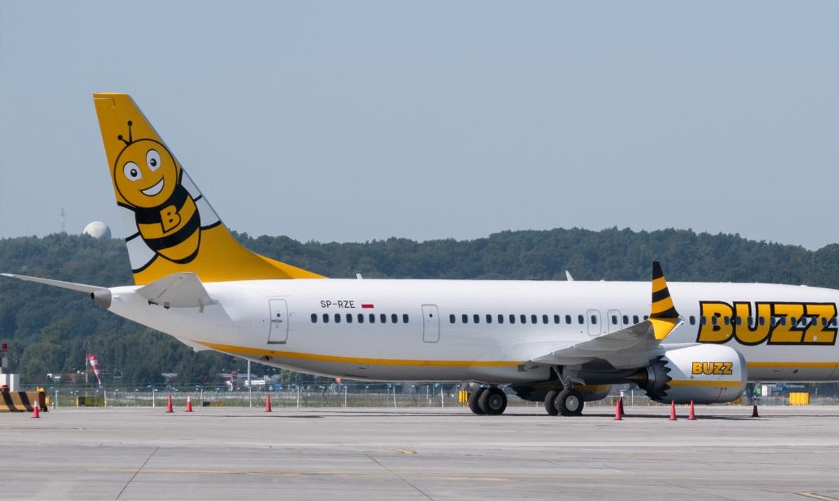Buzz szuka pilotów w Polsce. Planuje przeszkolić 300 uczniów szkół ...